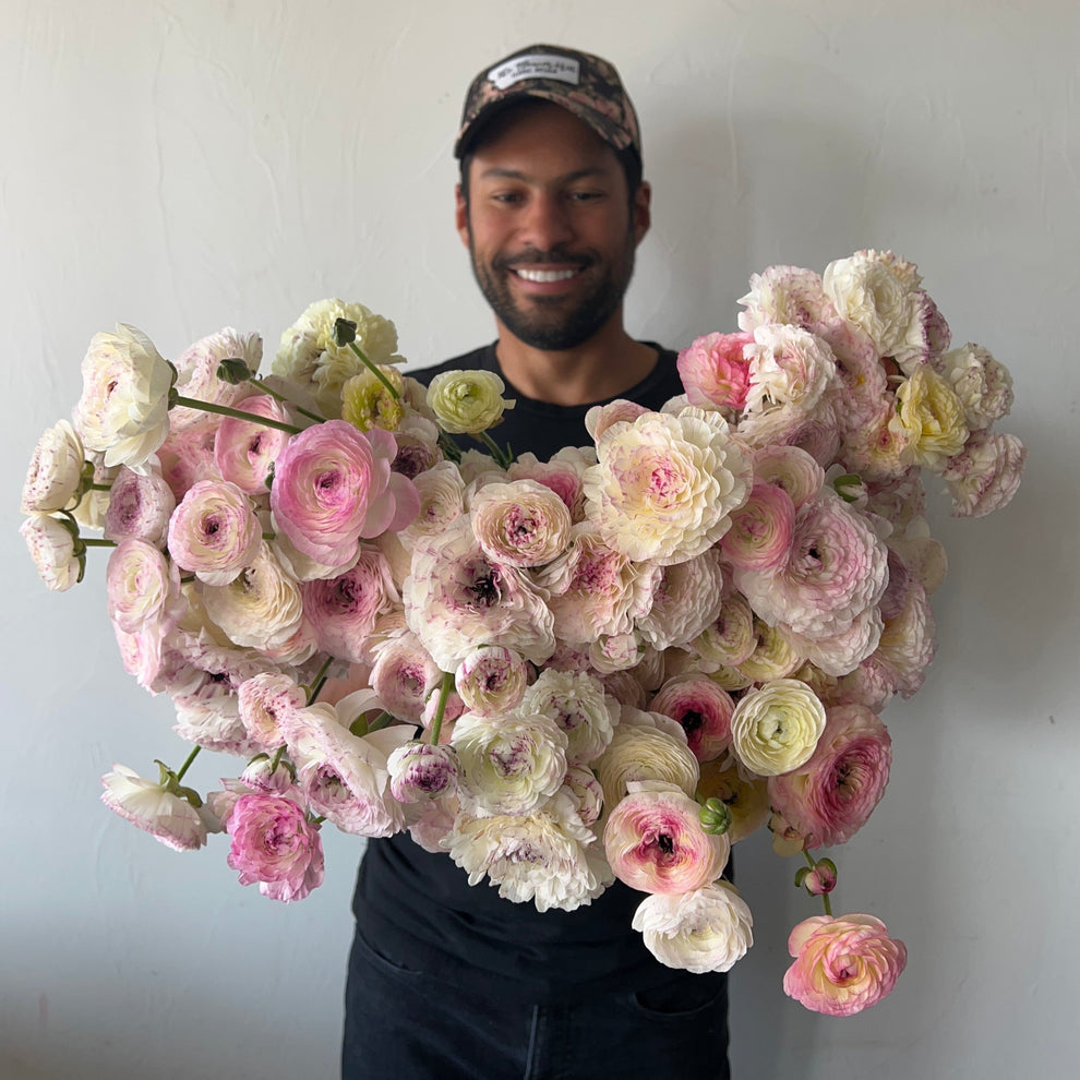 Ranunculus White Picotee Pack of 20 – The Flower Hat